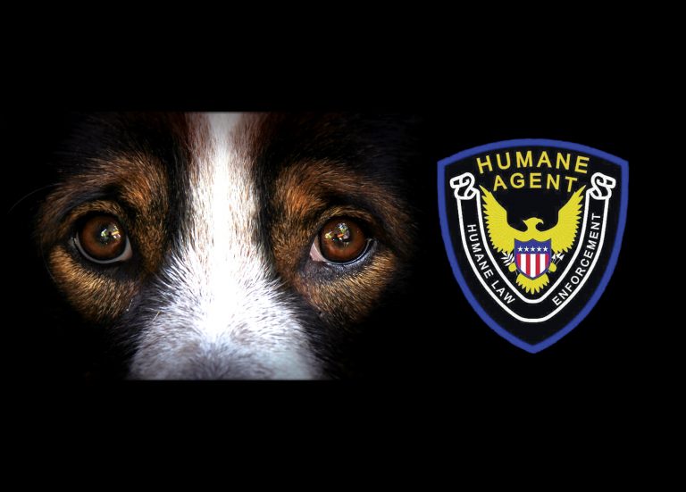 Fayette Regional Humane